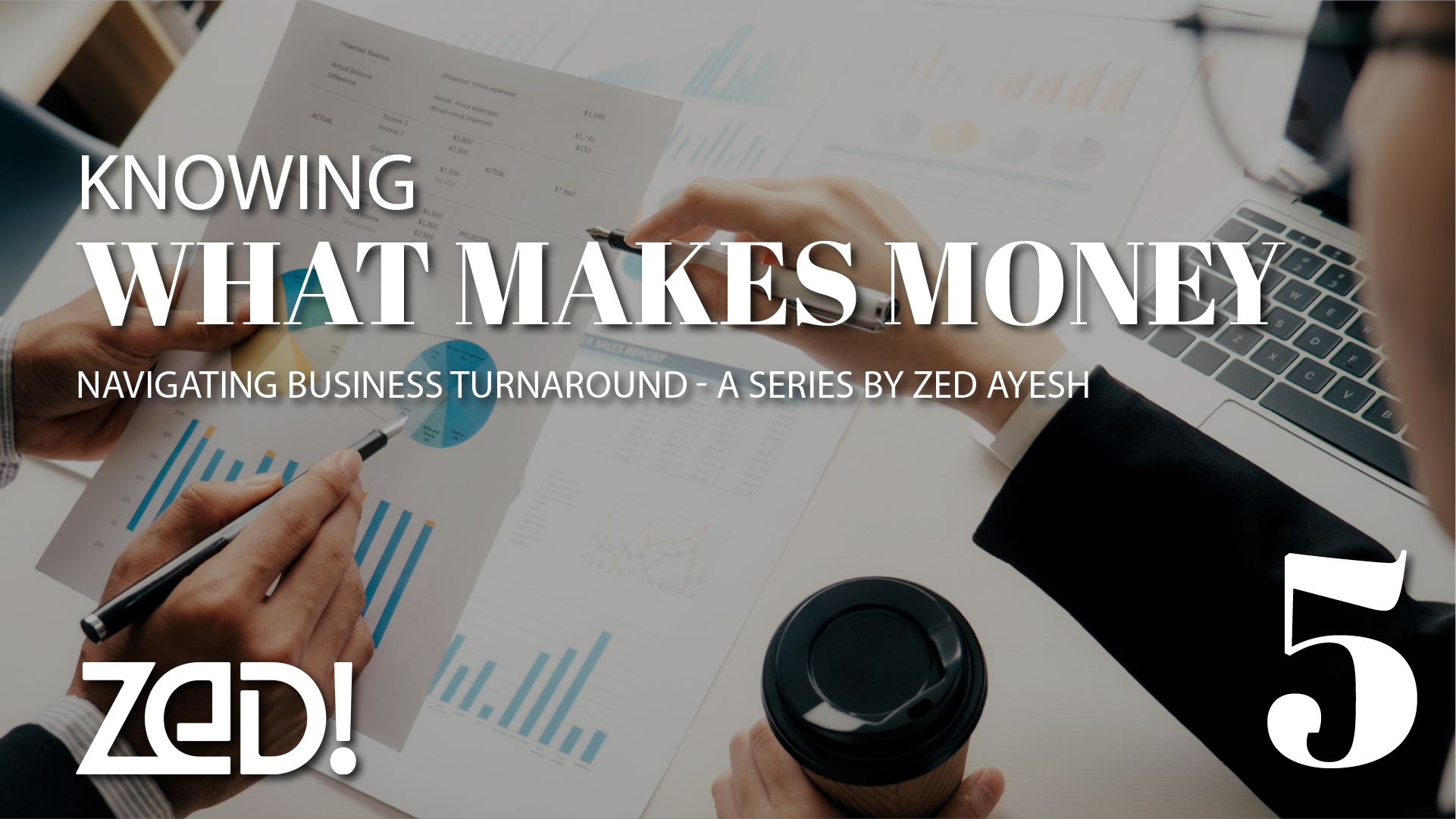 Identify What Makes Money - Zed Ayesh